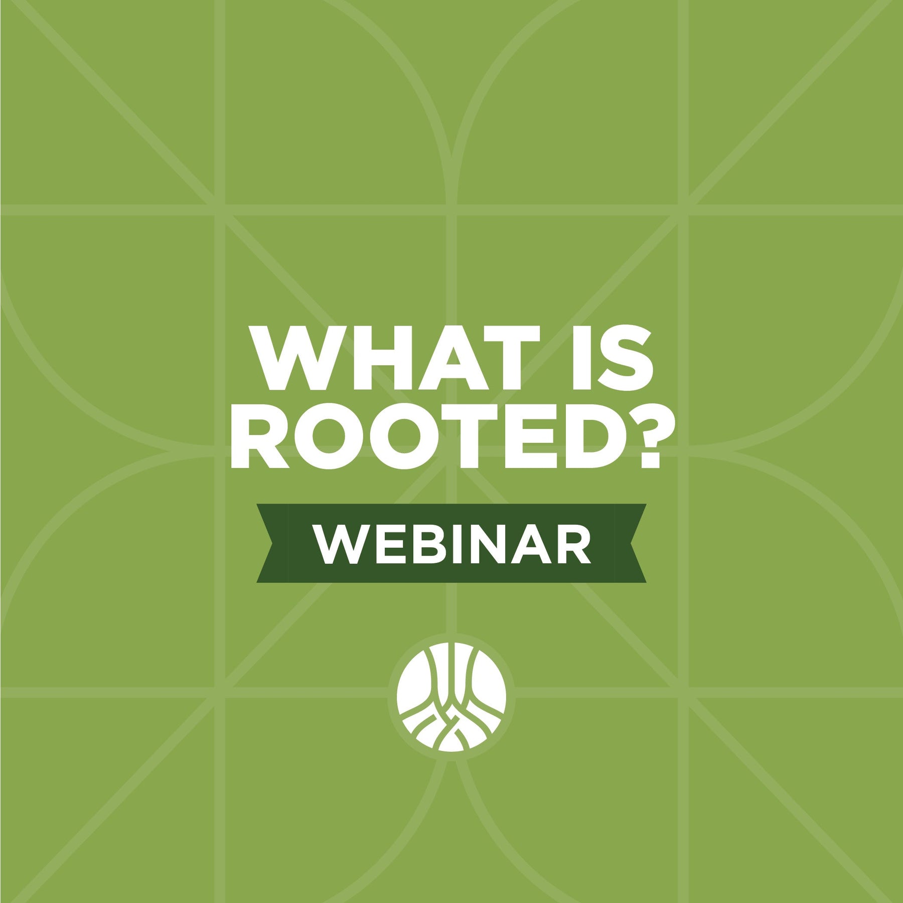 New Plan for Ancient Discipleship